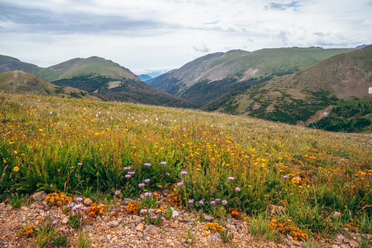 Alpine Ridge Trail – How to Experience Breathtaking Rocky Mountain ...