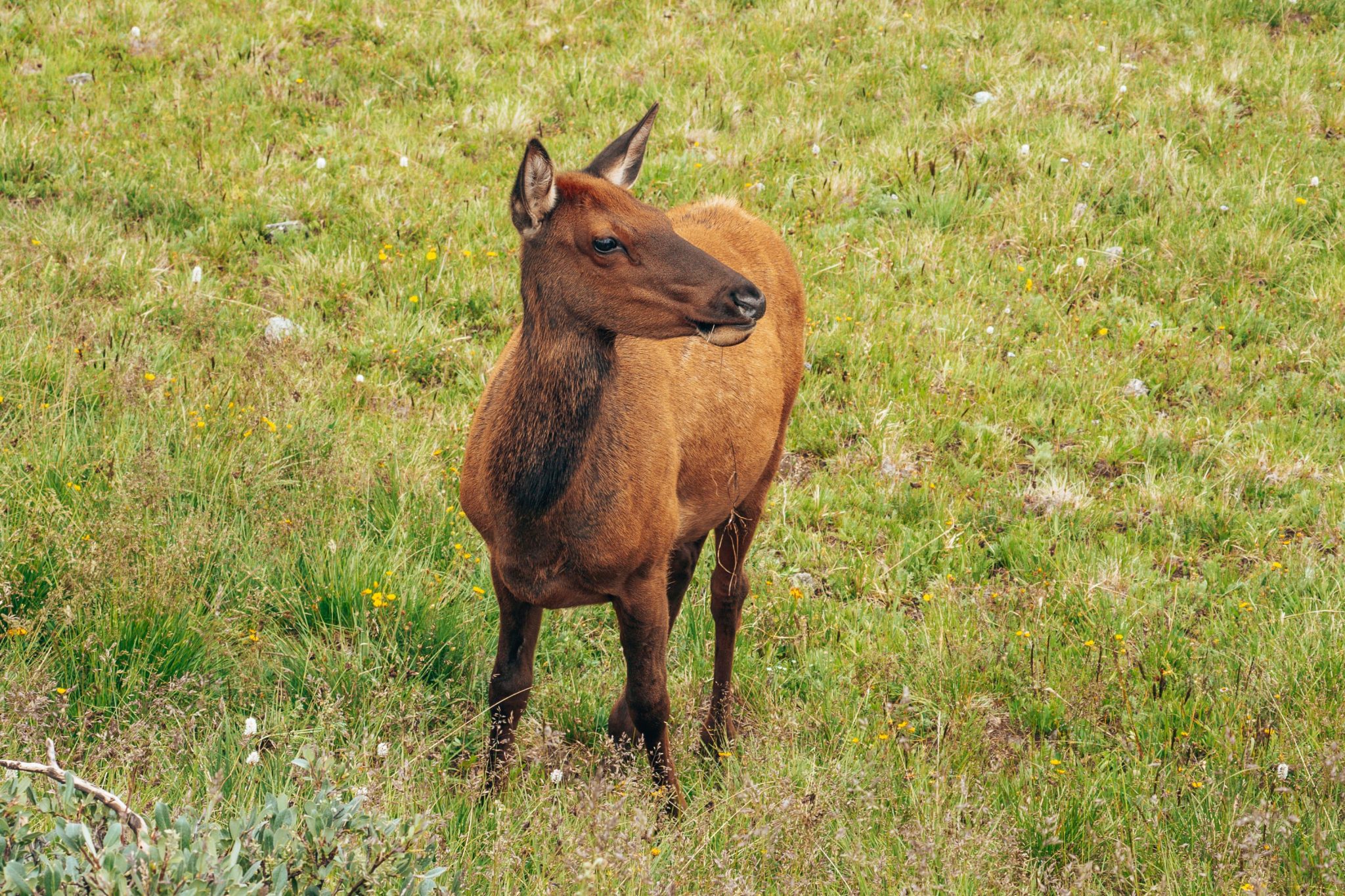 Ultimate Guide to Golden Gate Canyon State Park