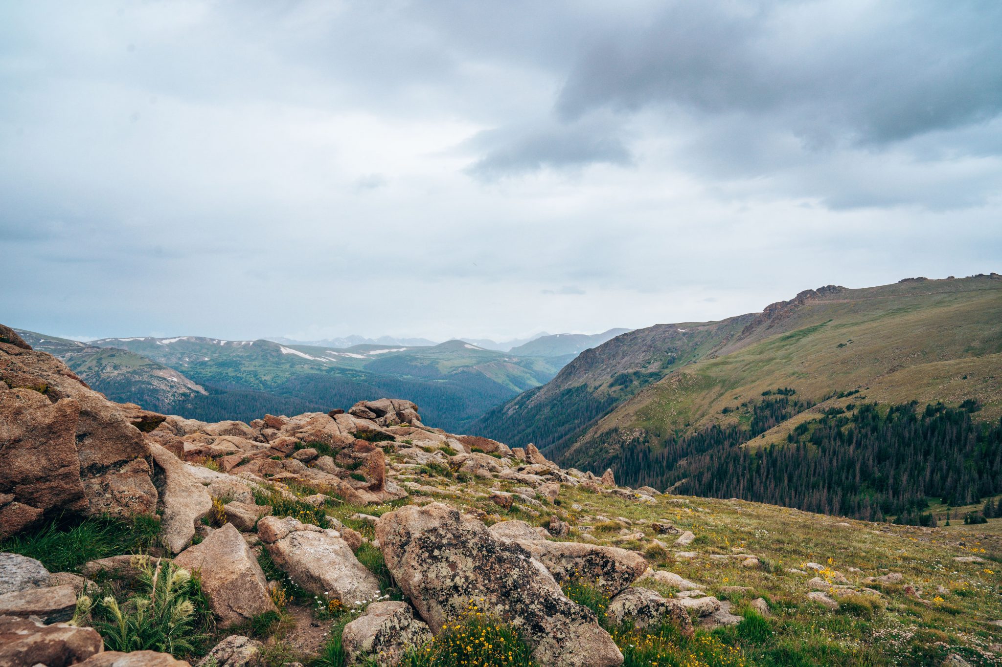 Everything You Need to Know to Plan the Perfect Scenic Drive on Trail ...