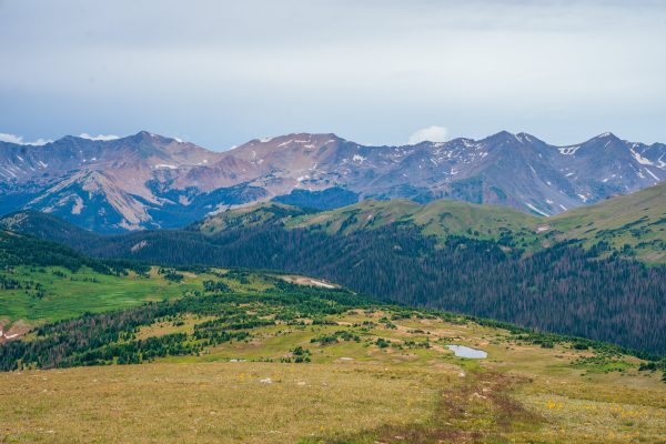 Everything You Need to Know to Plan the Perfect Scenic Drive on Trail ...