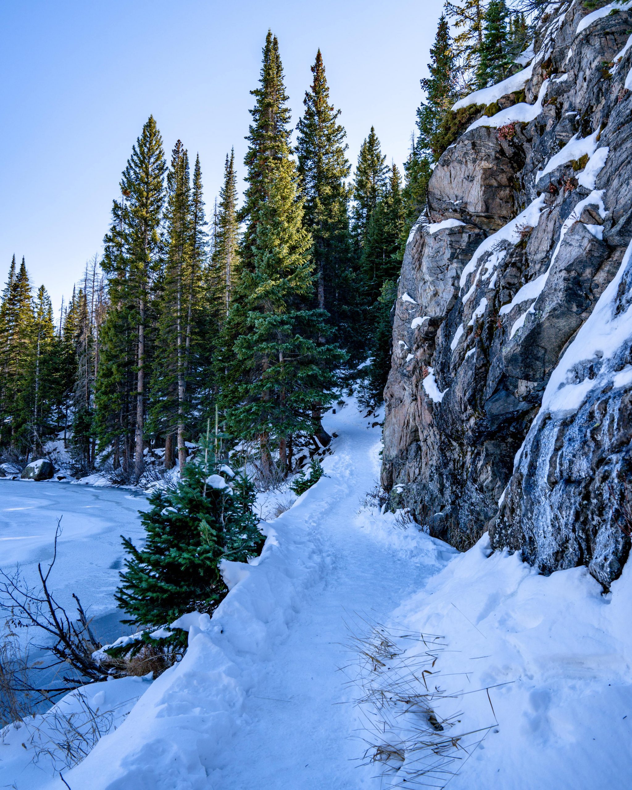 Complete Guide to the Bear Lake Loop Hike – The Most Accessible Hike in ...