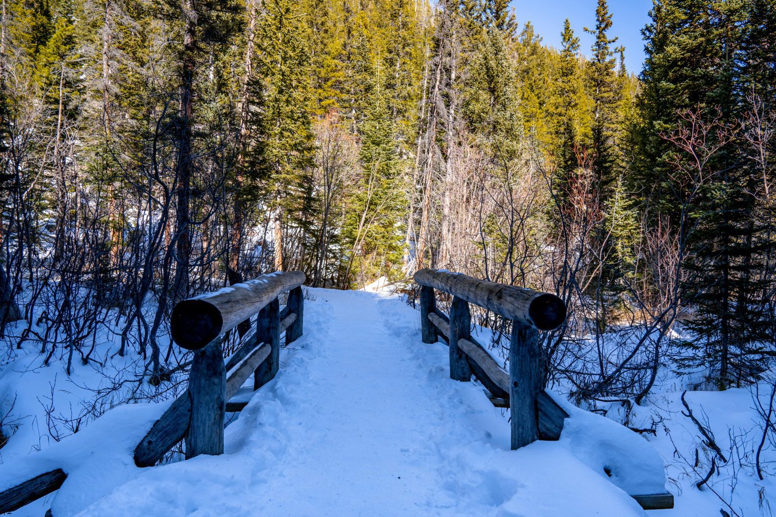 Complete Guide to the Bear Lake Loop Hike – The Most Accessible Hike in ...