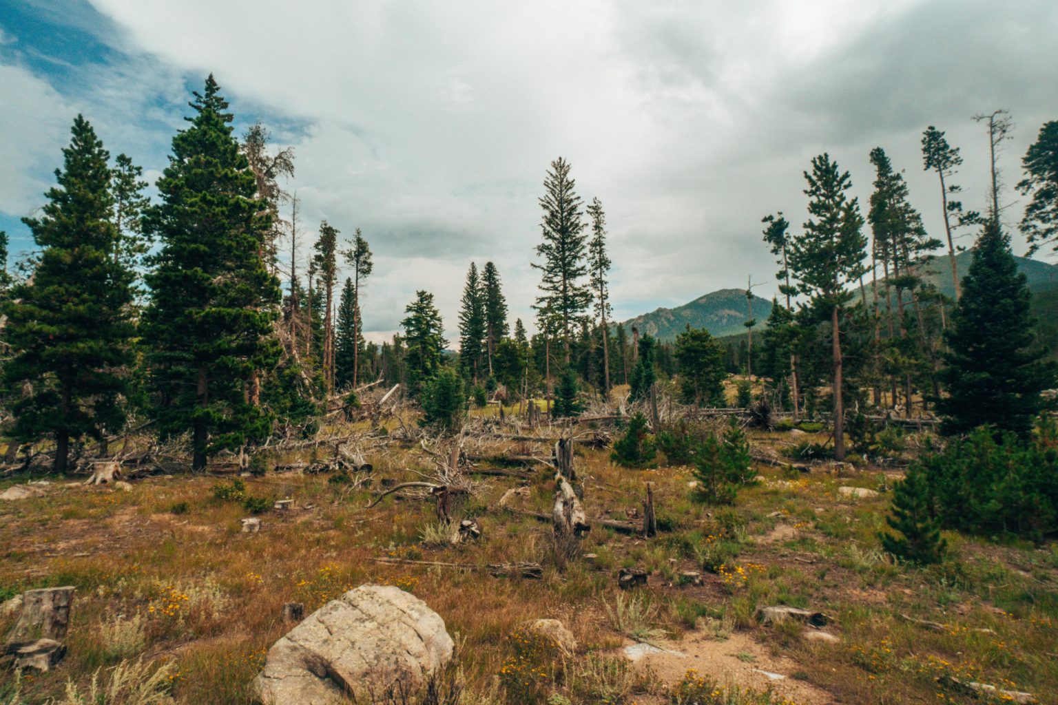 The Only Guide You Need to Sprague Lake – That Colorado Couple