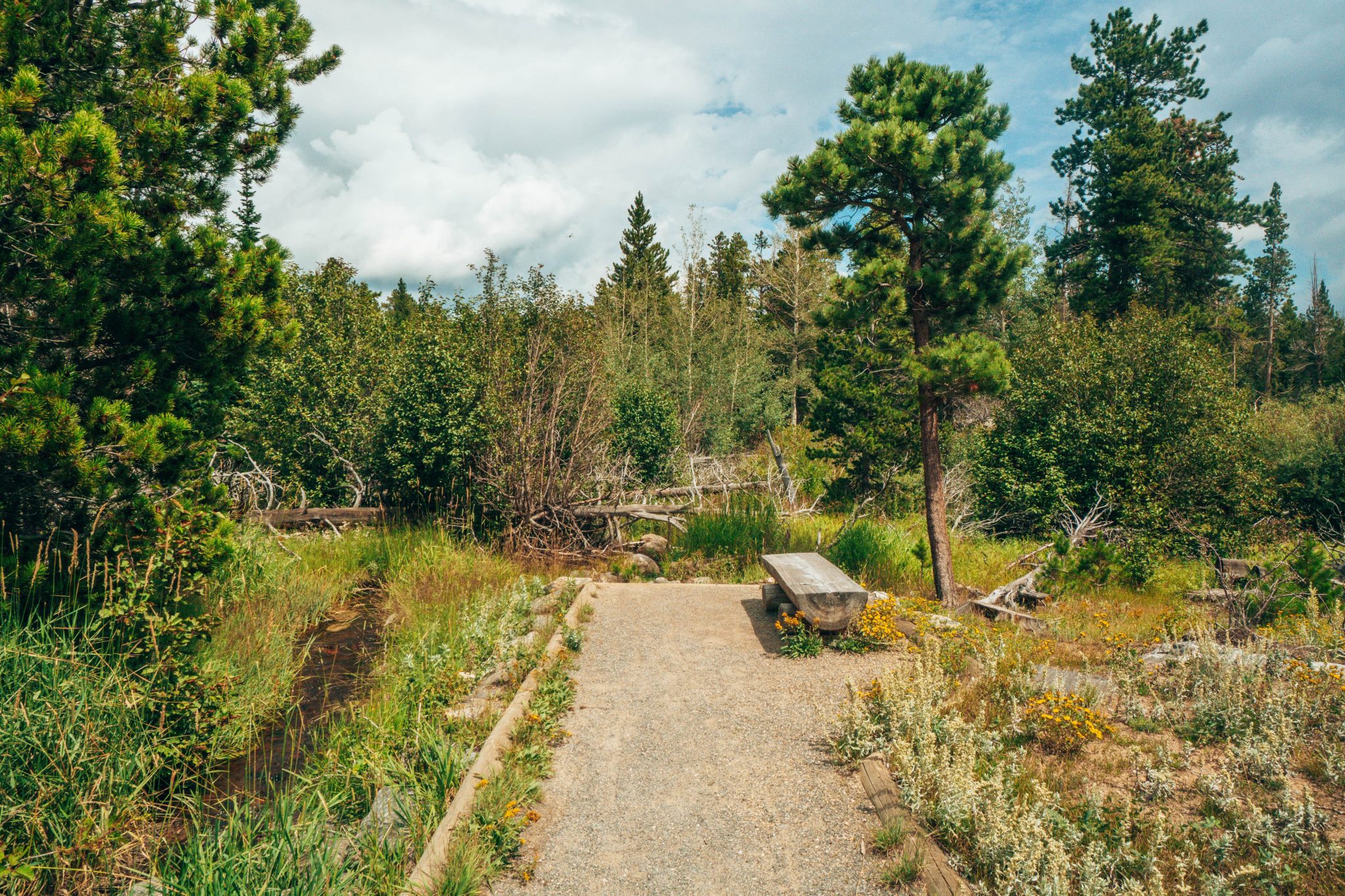 Sprague Lake Hike Ultimate Guide - That Colorado Couple
