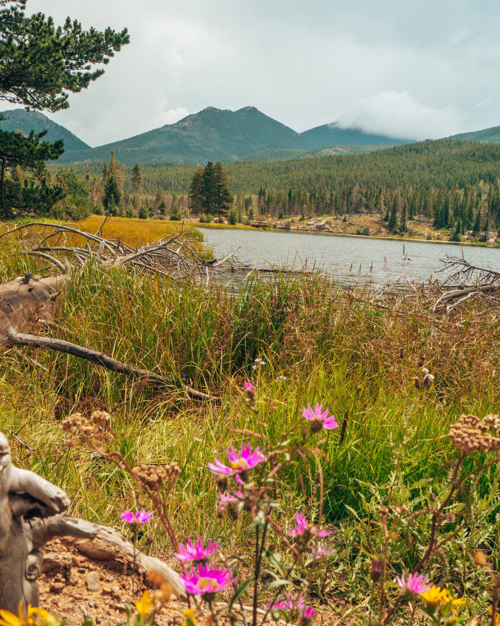 The Only Guide You Need to Sprague Lake – That Colorado Couple