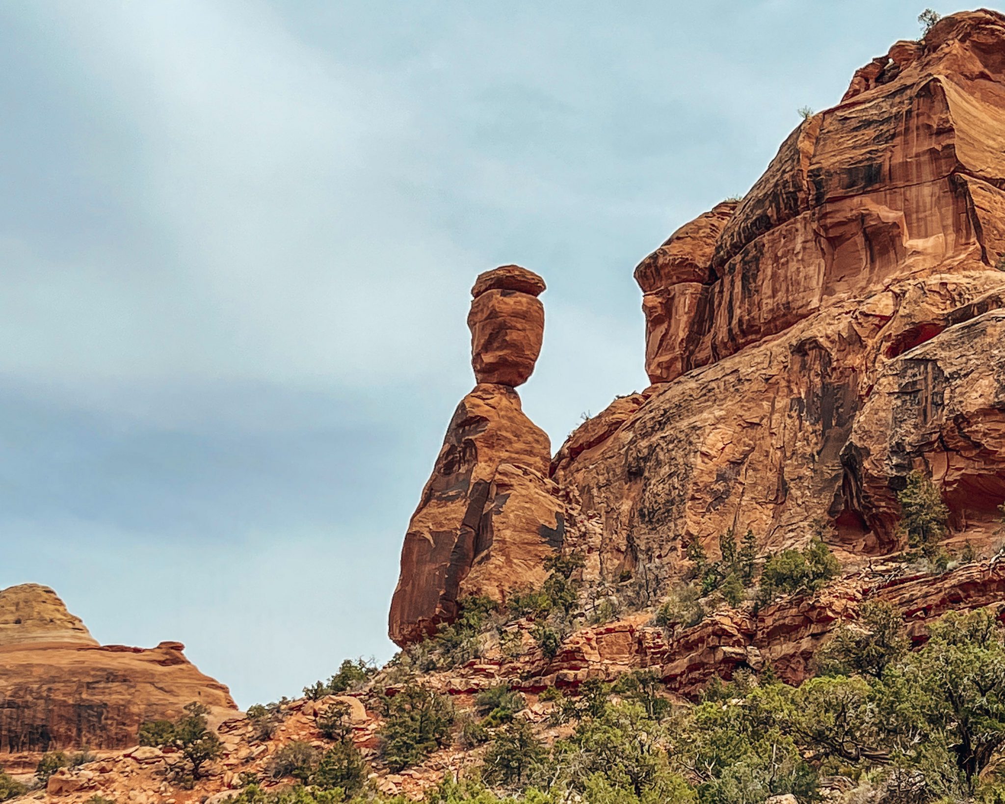 Ultimate Guide to Driving Jaw-Dropping Rim Rock Drive Scenic Loop ...