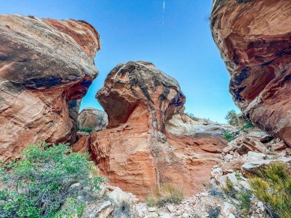 How to Hike (and Not Get Lost!) on the Devils Kitchen Trail in Colorado ...