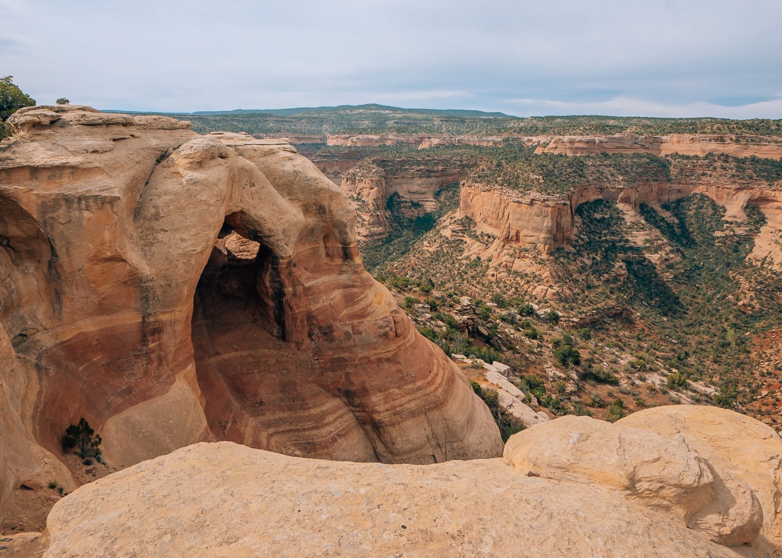 Want to See Arches in Colorado? The Ultimate Guide to Rattlesnake ...