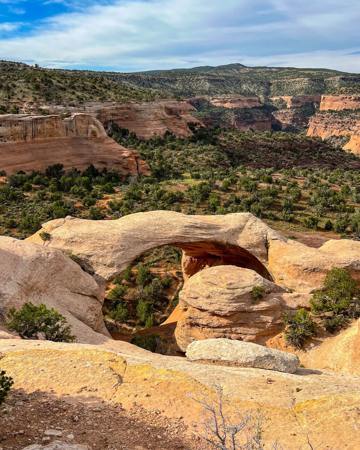 Want to See Arches in Colorado? The Ultimate Guide to Rattlesnake ...