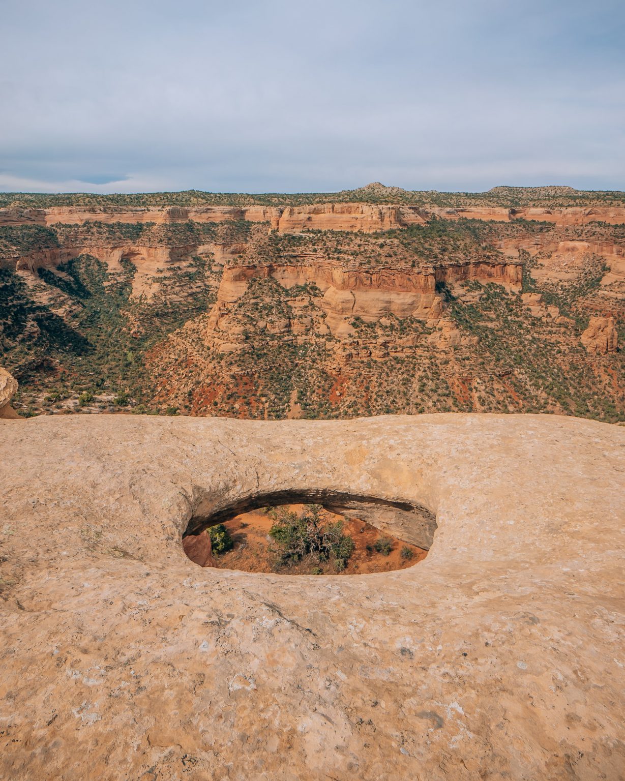 Want to See Arches in Colorado? The Ultimate Guide to Rattlesnake ...