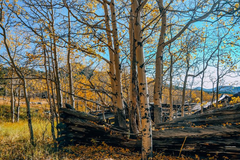 Embark on These 12 Breathtaking Colorado Fall Hikes for 2025 – That ...