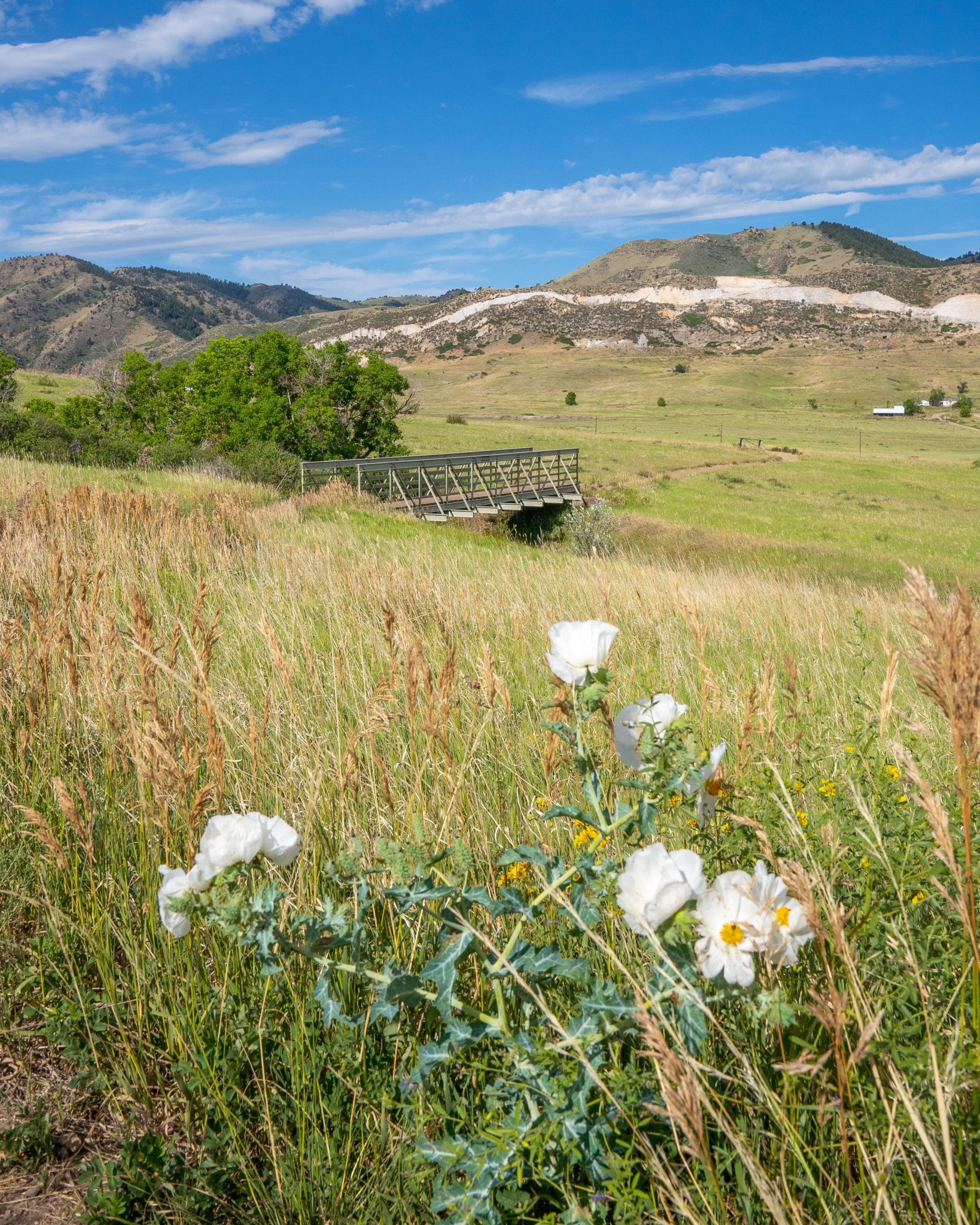 Ultimate Guide to North Table Mountain Park in Golden, Colorado – That ...