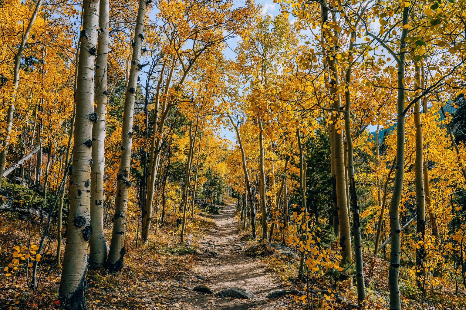 Embark on These 12 Breathtaking Colorado Fall Hikes for 2025 – That ...