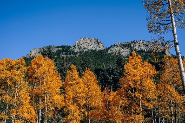 Ultimate Guide to Golden Gate Canyon State Park – By Locals – That ...