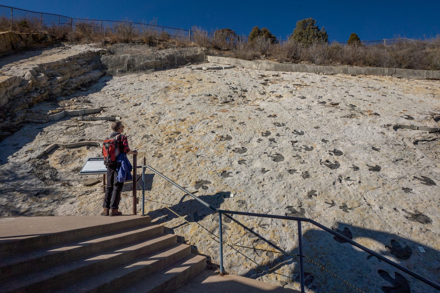 Dinosaur Ridge – The Best Dinosaur Track Site in the World – That ...