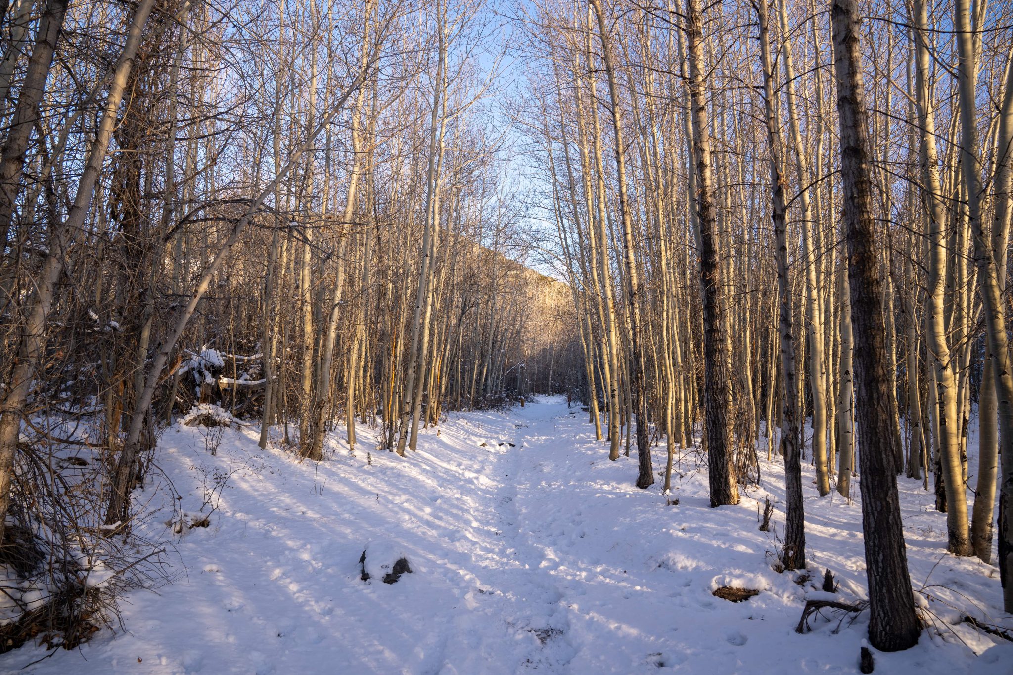11 Best Great Sand Dunes National Park Hikes – That Colorado Couple