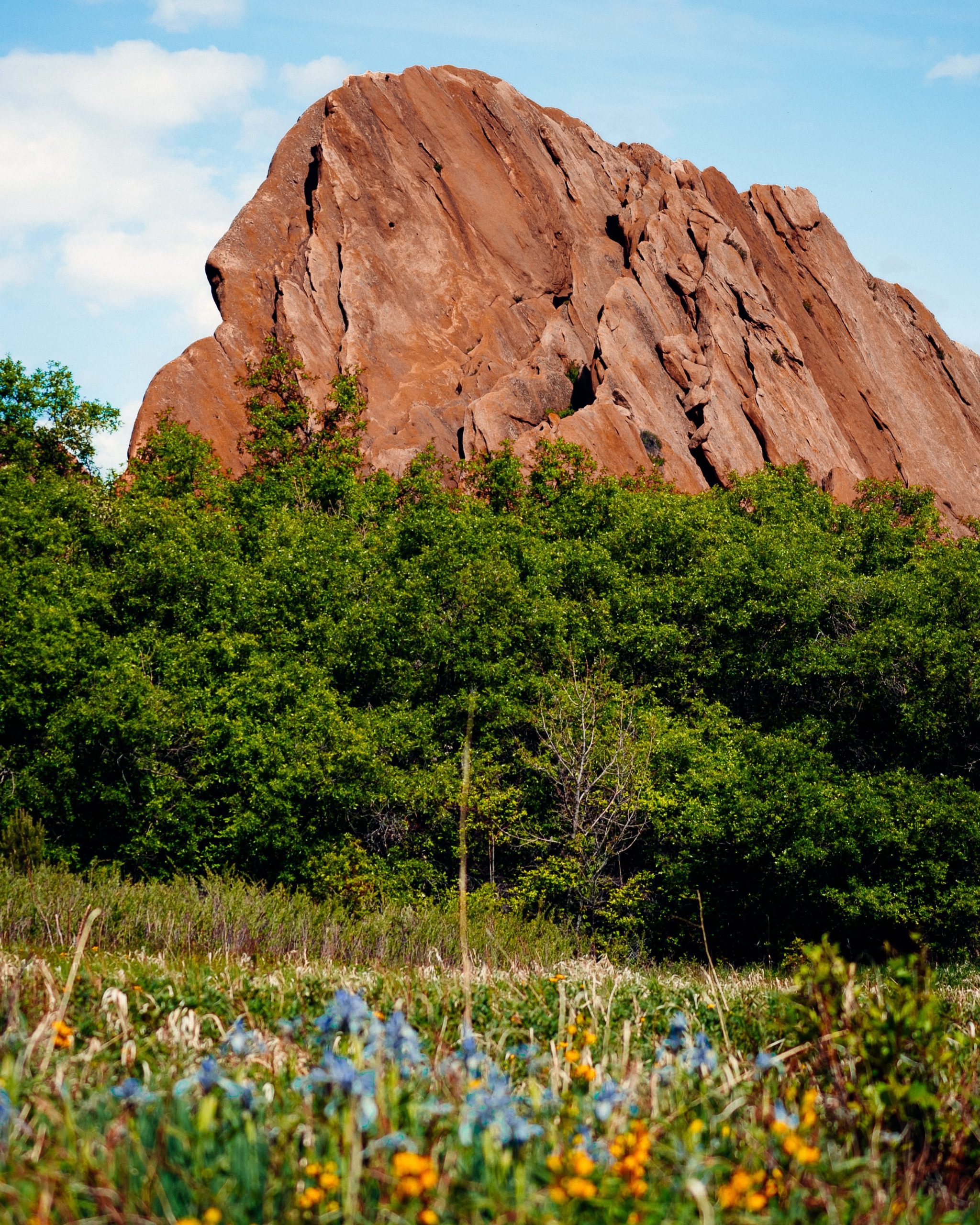 6 Best Roxborough State Park Hikes for Every Level – That Colorado Couple