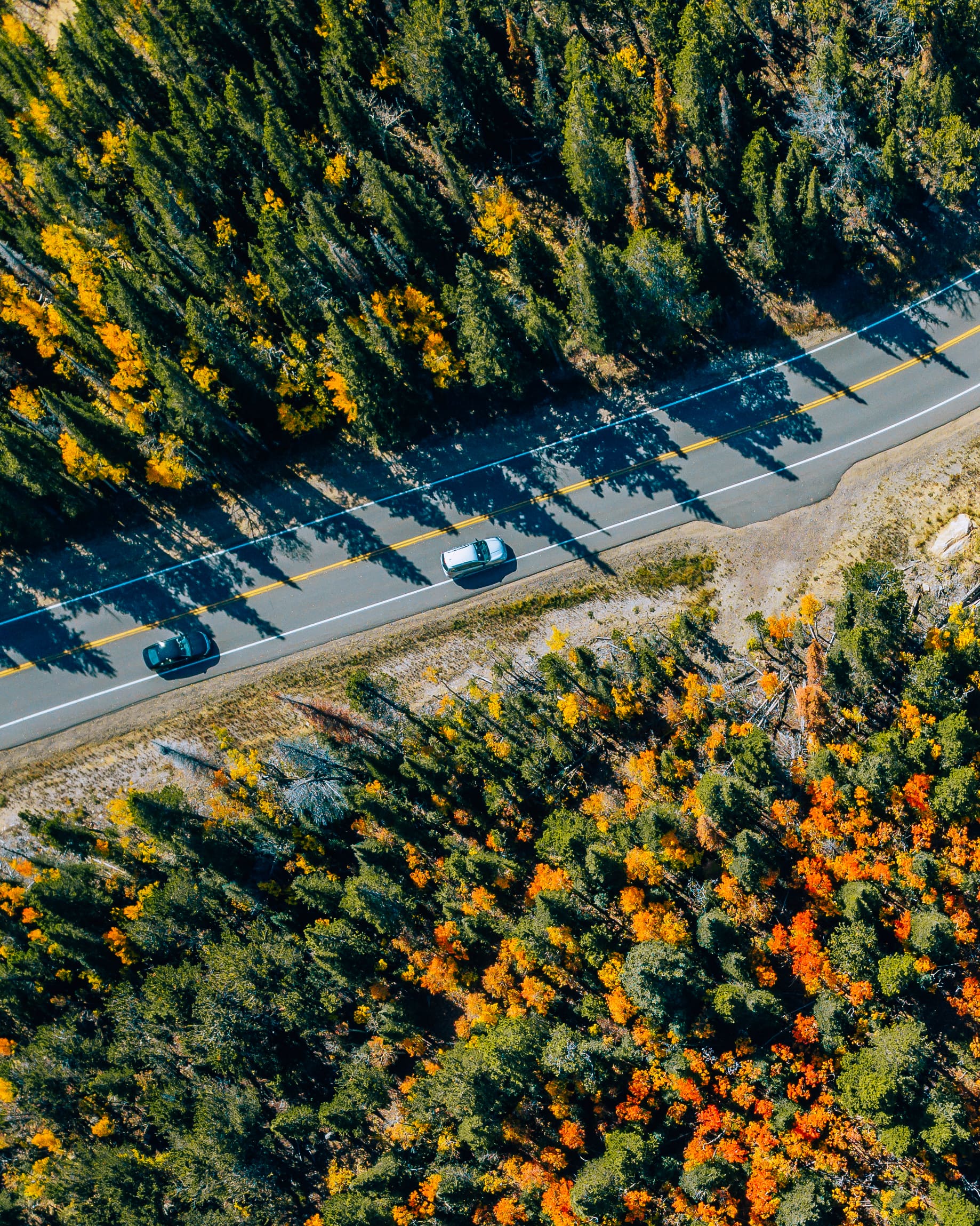 7 Colorado Fall Drives for Autumn Leaf Peepers (+ Maps!)